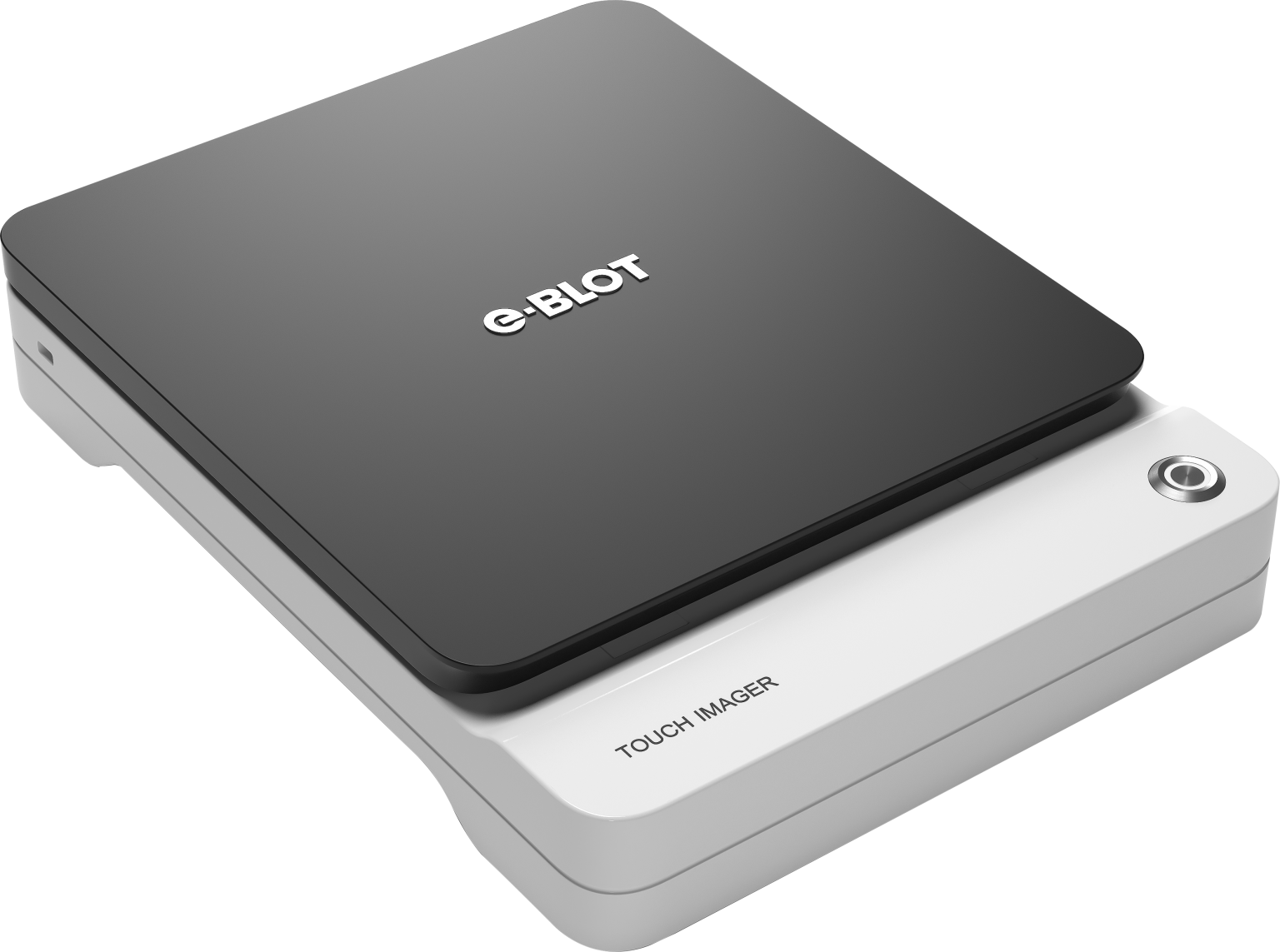 western blot imaging system